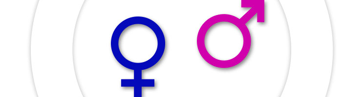 Gender Relations - History and Social Justice